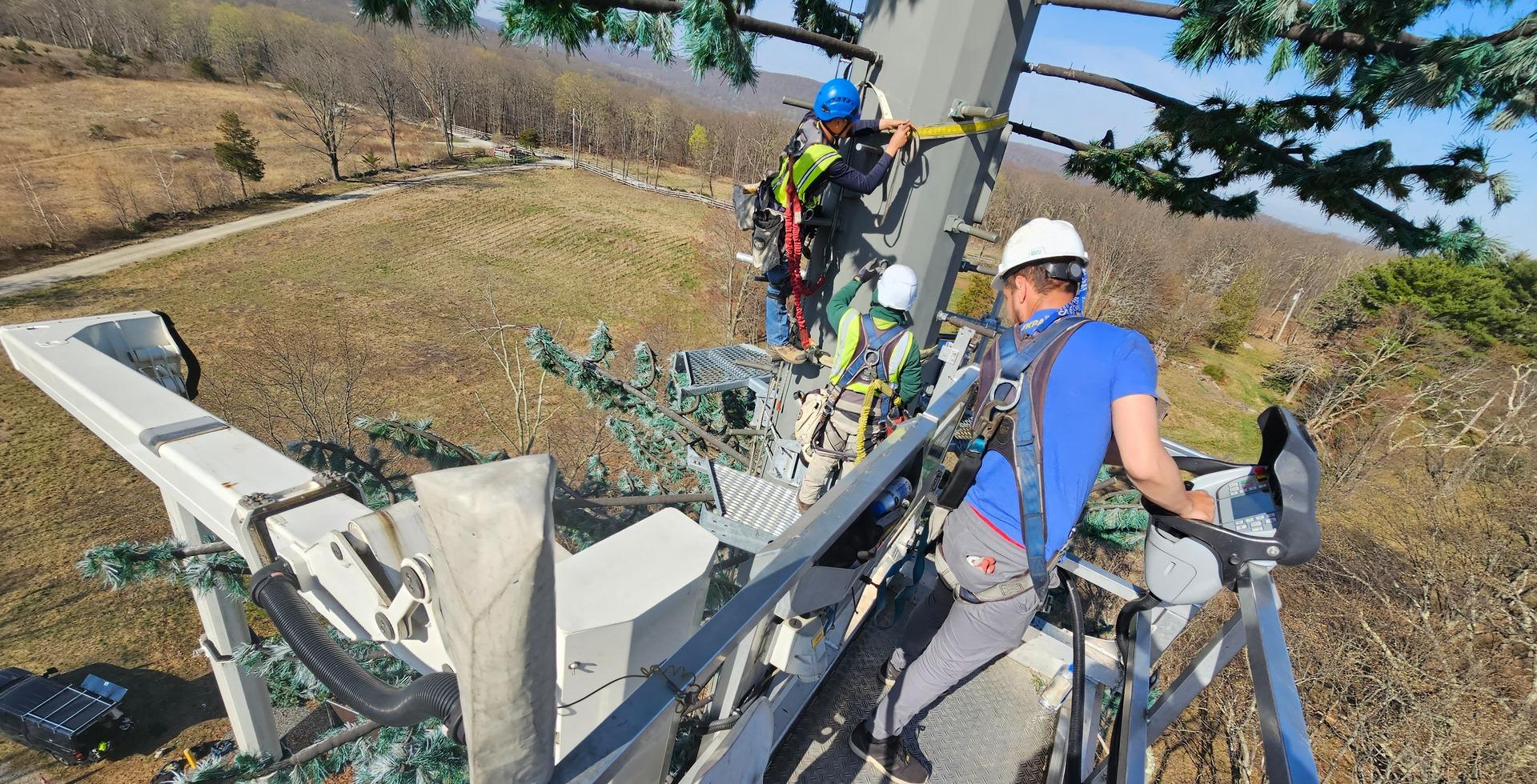 Monopine Tower New Sector and Antenna Installation